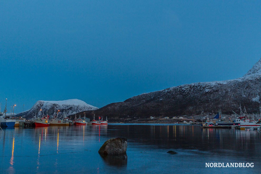 Trip nach Tromsø - das musst du in der norwegischen Stadt sehen und erleben