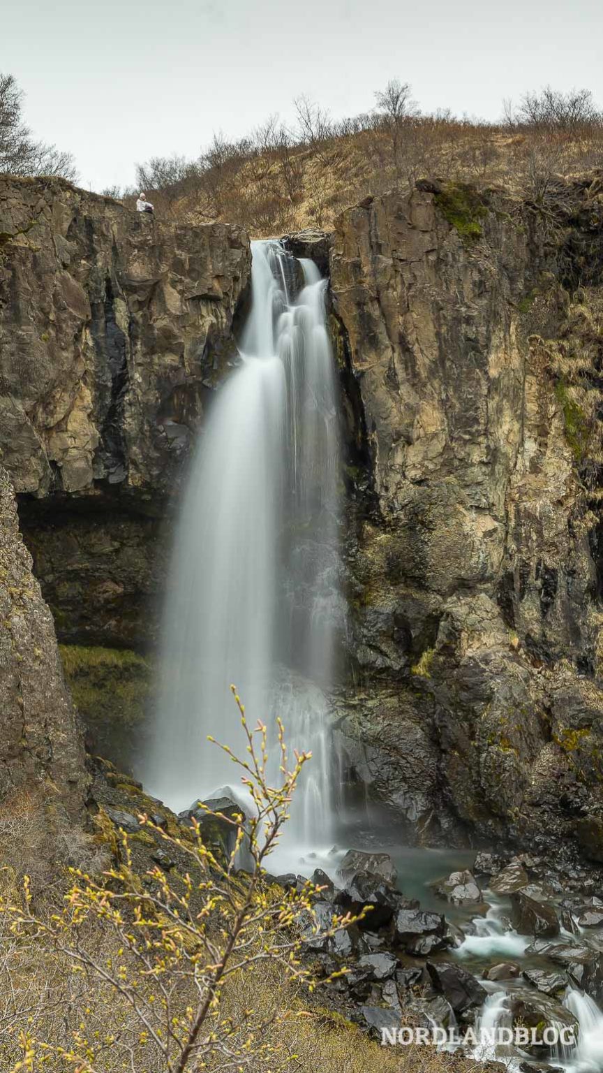 Rundwanderung Nationalpark Skaftafell zum Wasserfall Svartifoss (Island)