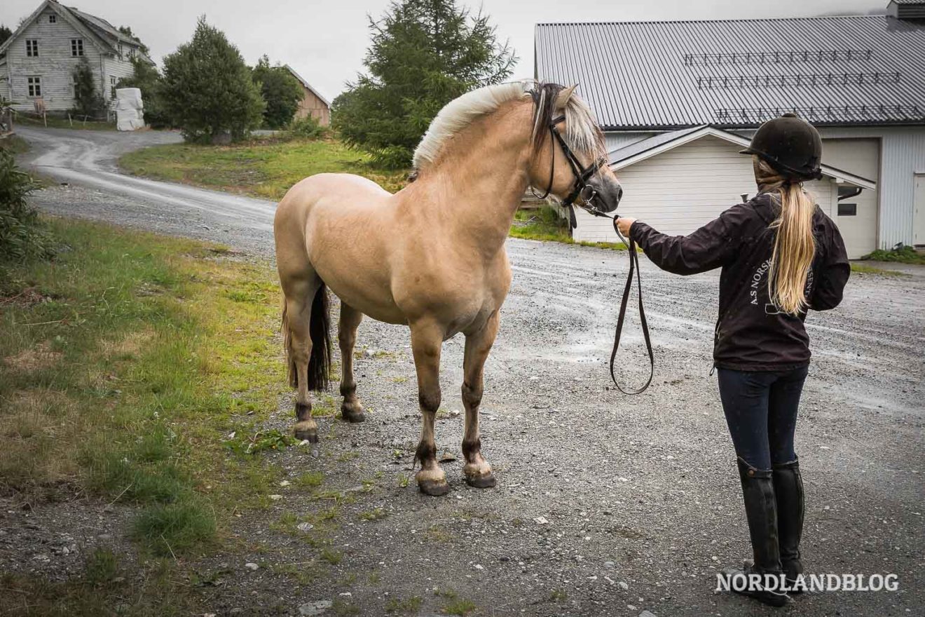 26 Highlights, Routen und Tipps für deine Reise durch Fjordnorwegen