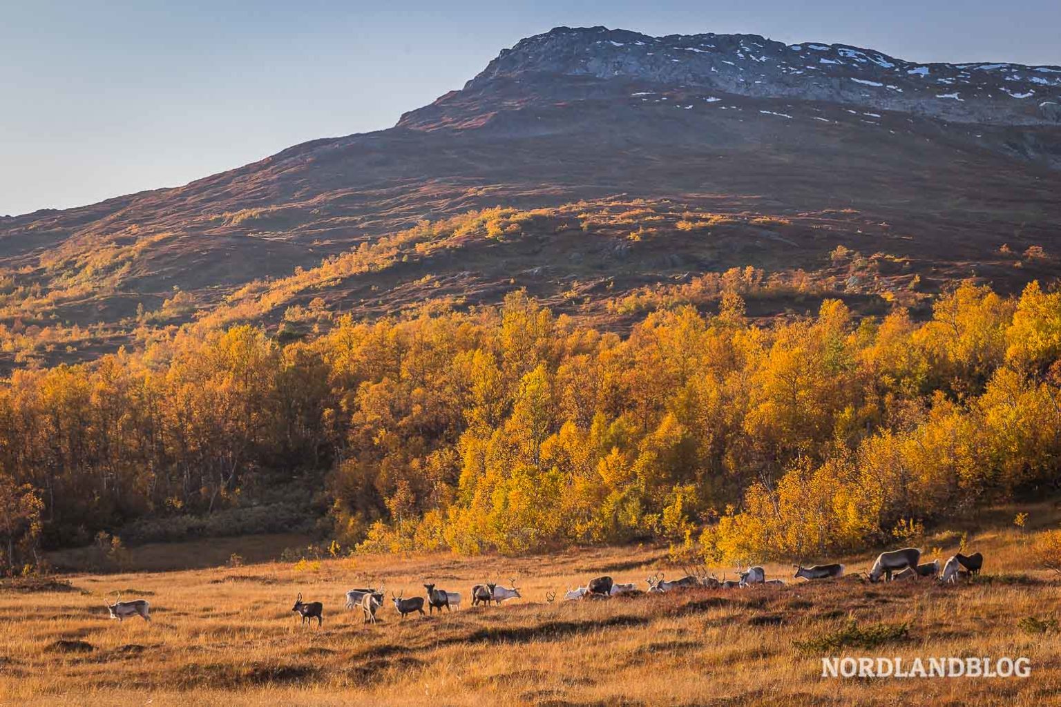 Wandern im Trollheimen: Tour auf den 1188 Meter hohen Høa (Norwegen)