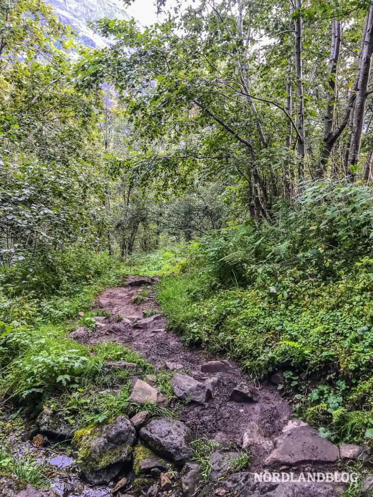 Wandern am Geirangerfjord: Von Geiranger zur Alm Homlongsætra