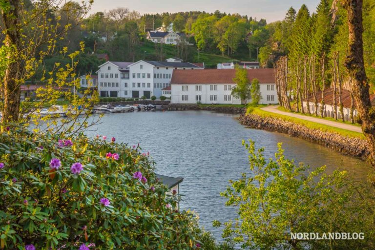 22 Insider-Tipps und Highlights in Bergen für deinen perfekten Städtetrip