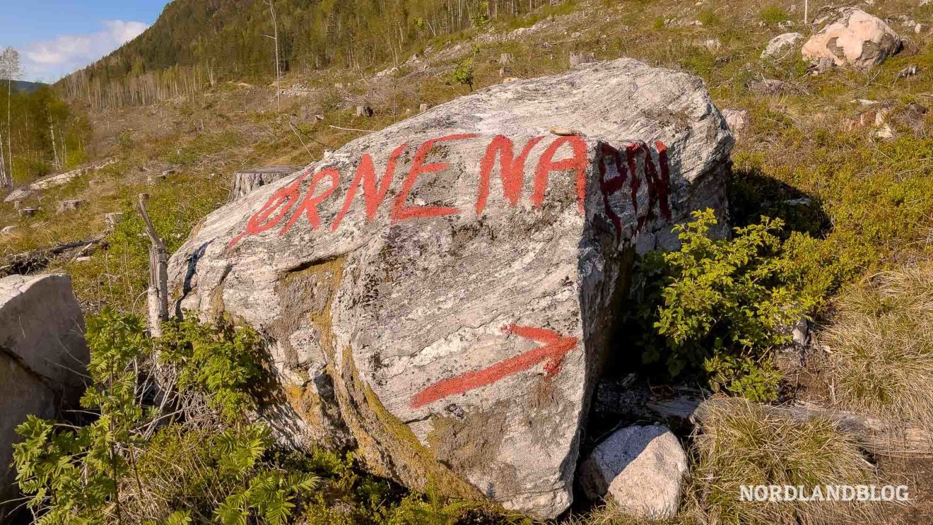 Wanderung zum Ørnenapen - Trollzunge des Setesdalen